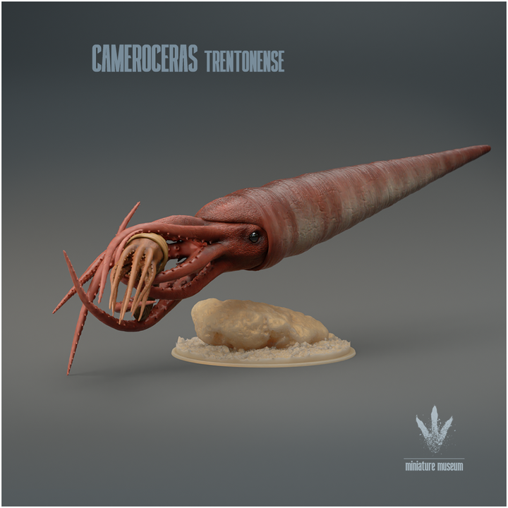 3D Printable Cameroceras trentonense : Hunting by Miniature Museum