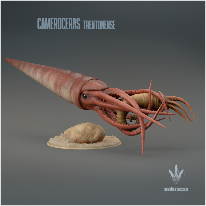 3D Printable Cameroceras trentonense : Hunting by Miniature Museum