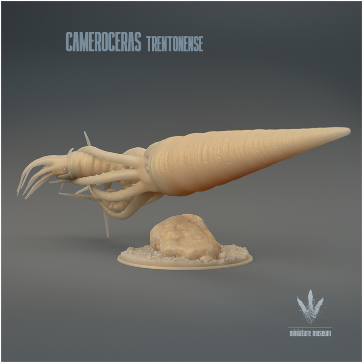 3D Printable Cameroceras trentonense : Hunting by Miniature Museum