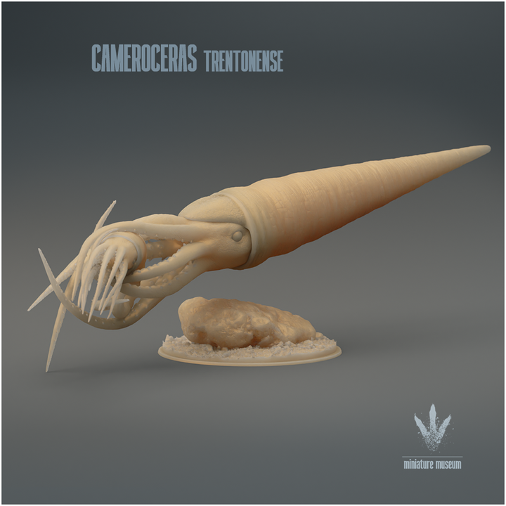 3D Printable Cameroceras trentonense : Hunting by Miniature Museum