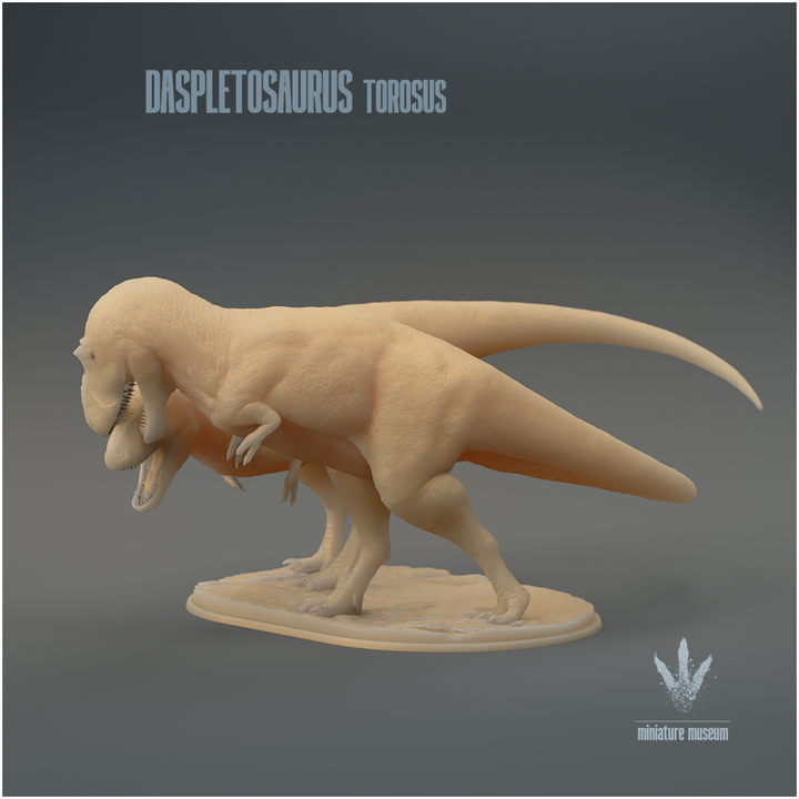 3D Printable Daspletosaurus torosus : Fight by Miniature Museum
