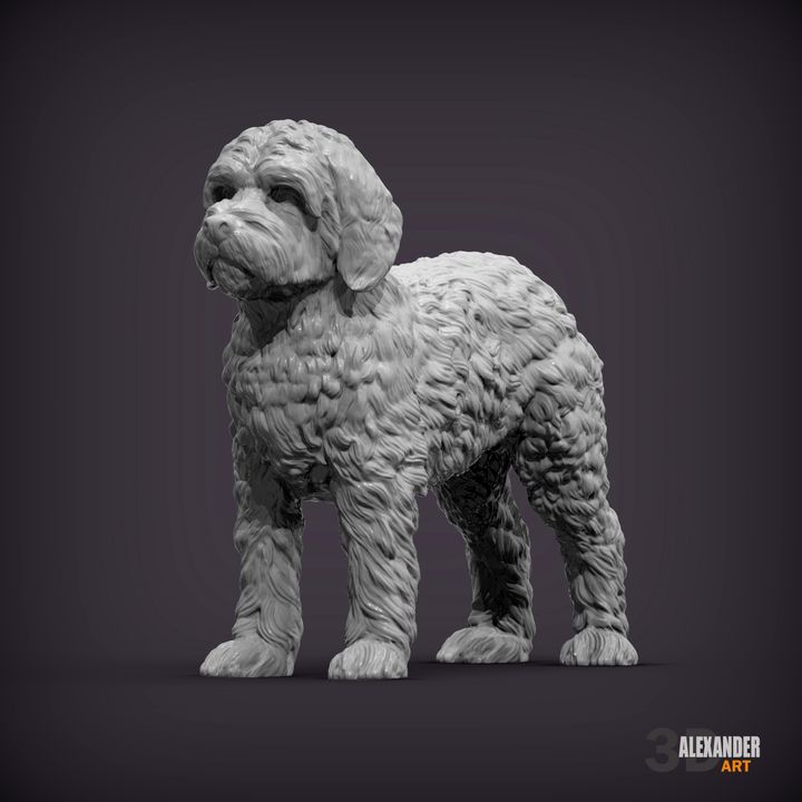 3D Printable Goldendoodle standing by Alexander3dart