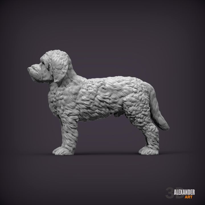 3D Printable Goldendoodle standing by Alexander3dart