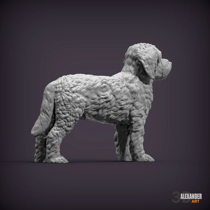 3D Printable Goldendoodle standing by Alexander3dart