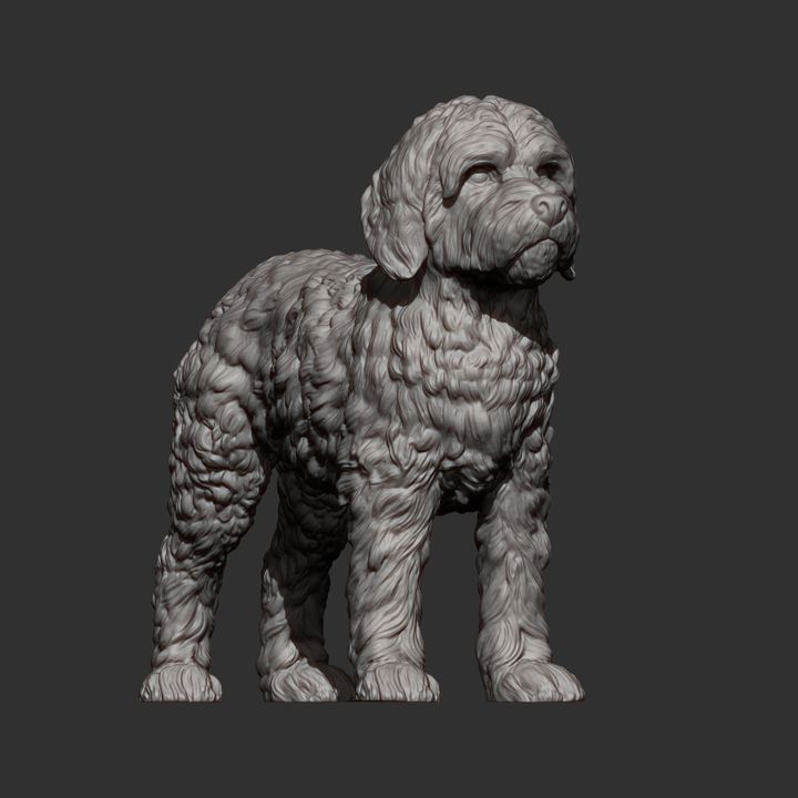 3D Printable Goldendoodle standing by Alexander3dart