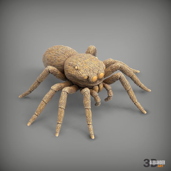 3D Printable Jumping spider by Alexander3dart