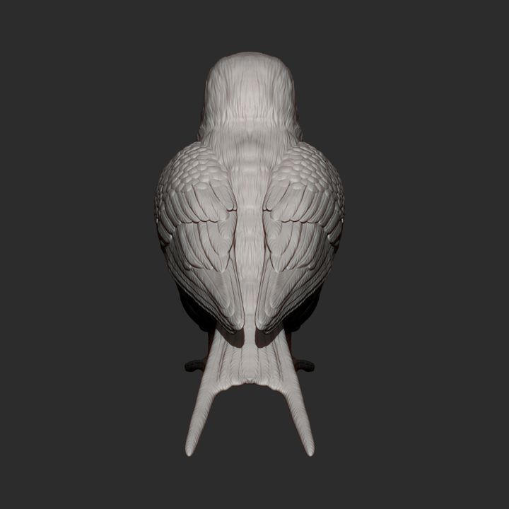 3D Printable swallow bird by AKUZMENKO