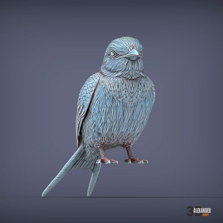 3D Printable swallow bird by Alexander3dart