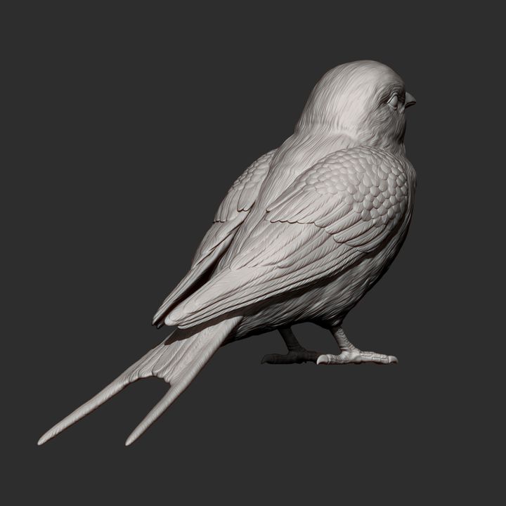 3D Printable swallow bird by Alexander3dart