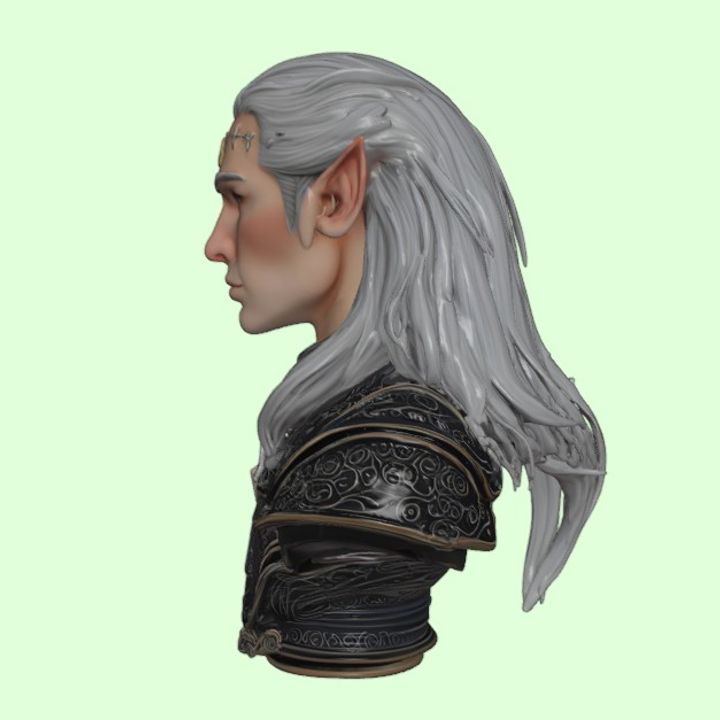 3D Printable Elven Warrior Bust by Fantasy Figures