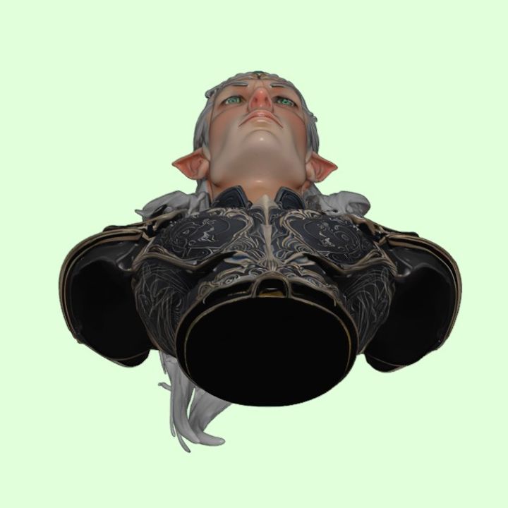 3D Printable Elven Warrior Bust by Fantasy Figures
