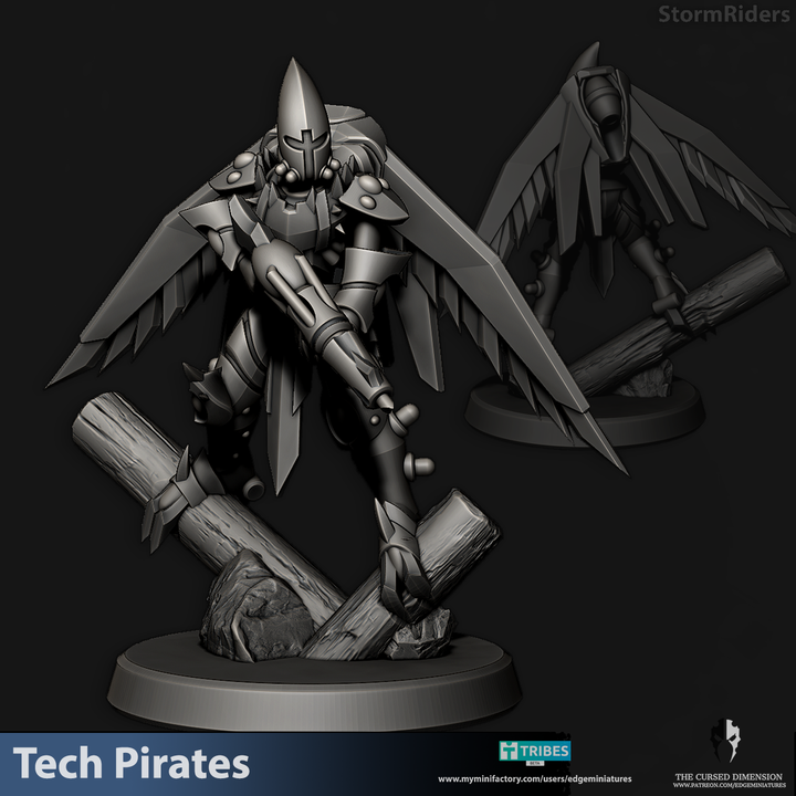 3D Printable Storm Riders - Tech Pirates / Cursed Elves - 28mm by Edge ...