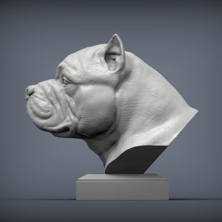 3D Printable American Bully by Alexander3dart