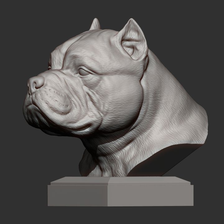 3D Printable American Bully by Alexander3dart