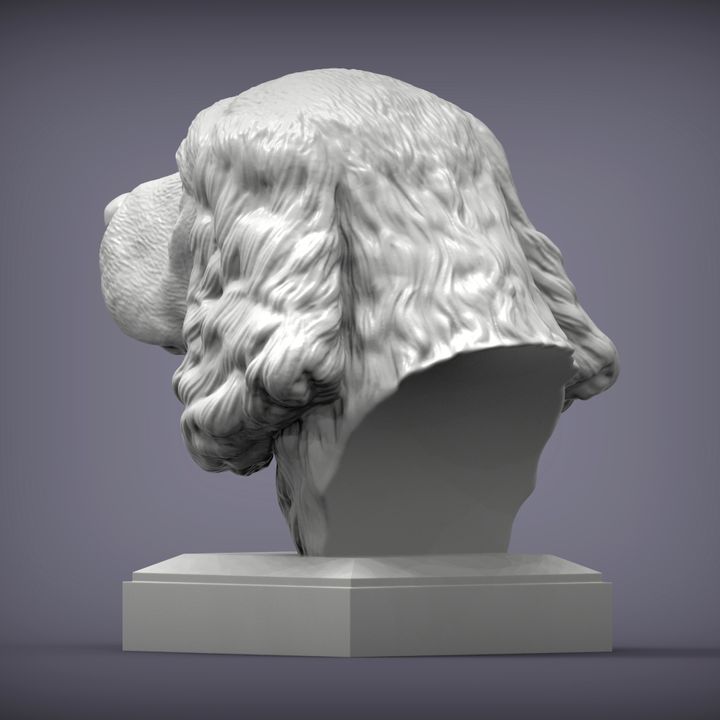 3D Printable English Springer spaniel by Alexander3dart