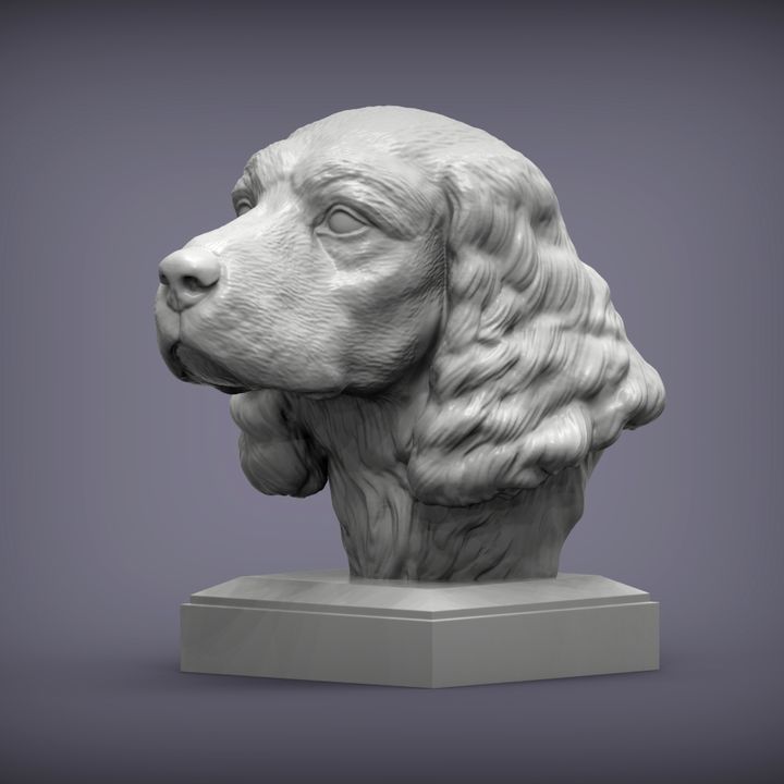 3D Printable English Springer spaniel by Alexander3dart