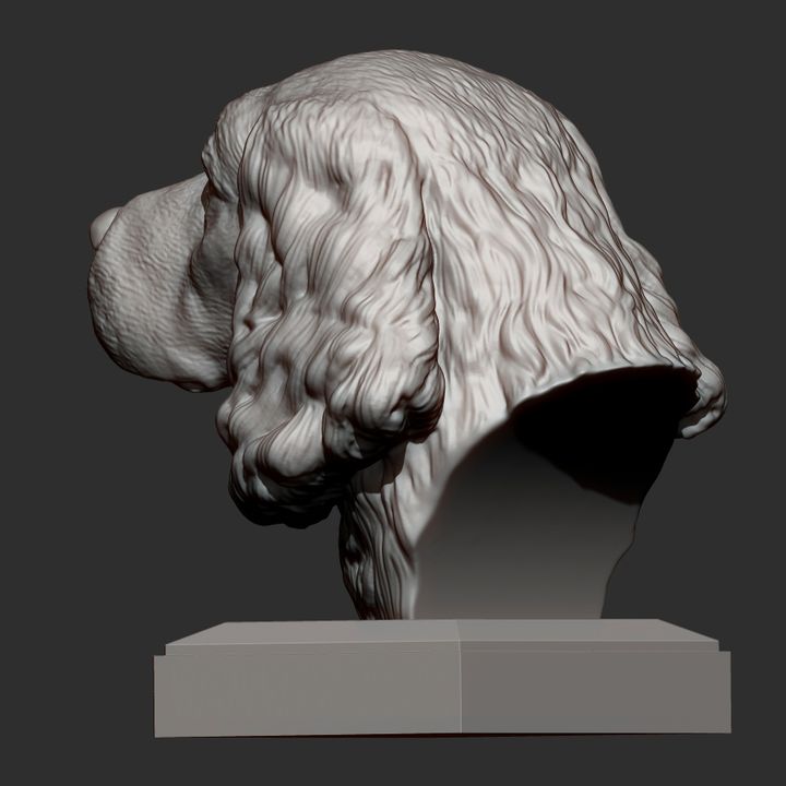 3D Printable English Springer spaniel by Alexander3dart