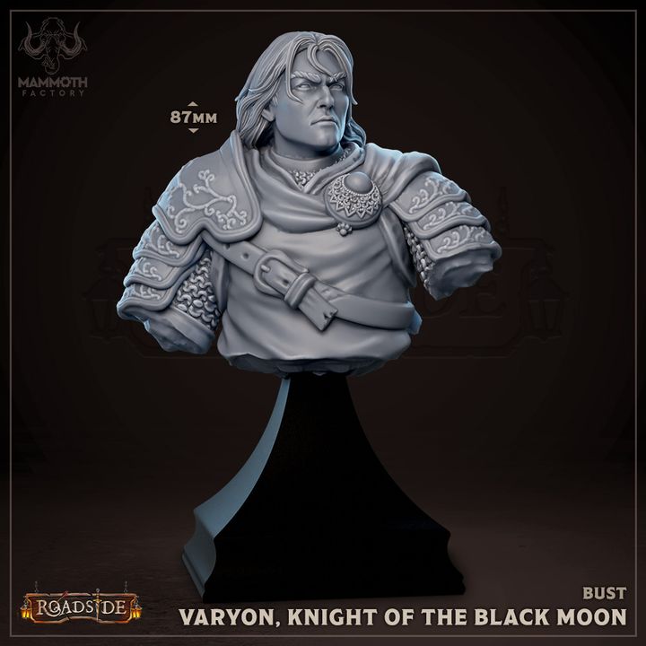 3D Printable Varyon, Knight of the Black Moon by Mammoth Factory