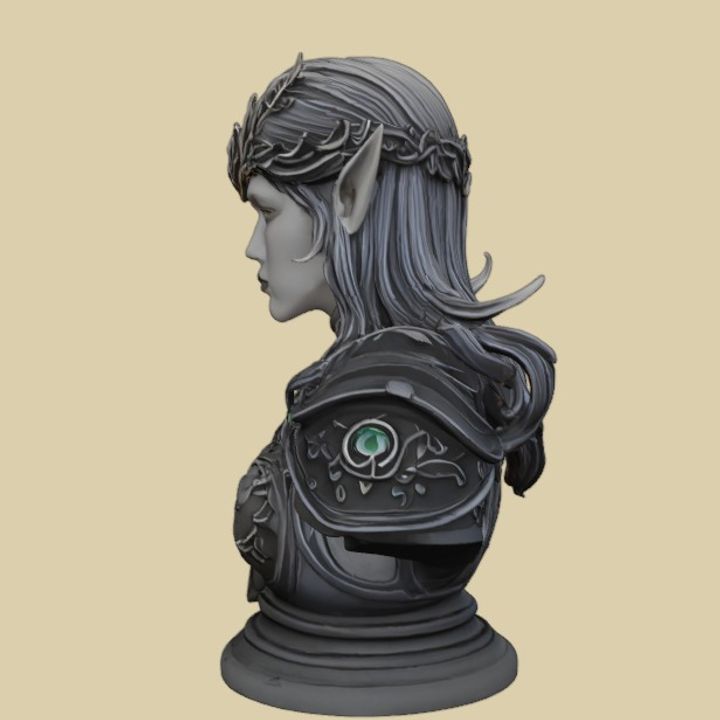3D Printable Elven Sorceress Bust by Fantasy Figures