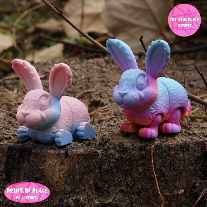 3D Printable Flexi Rabbit by TriDimensionPrints