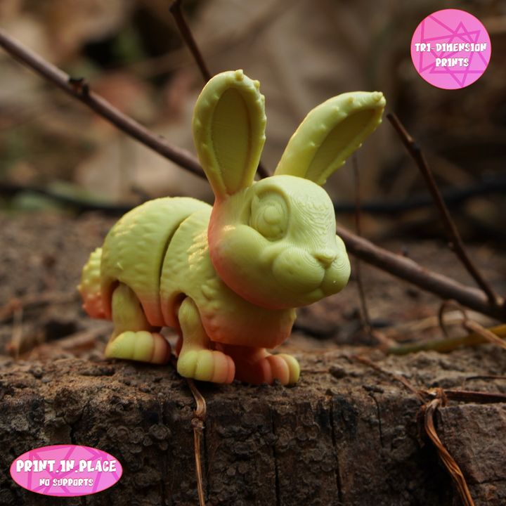 3D Printable Flexi Rabbit by TriDimensionPrints