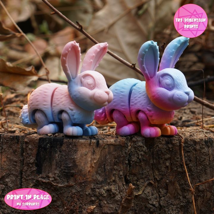 3D Printable Flexi Rabbit by TriDimensionPrints