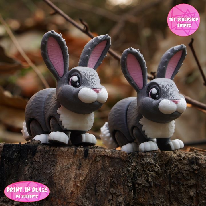 3D Printable Flexi Rabbit by TriDimensionPrints
