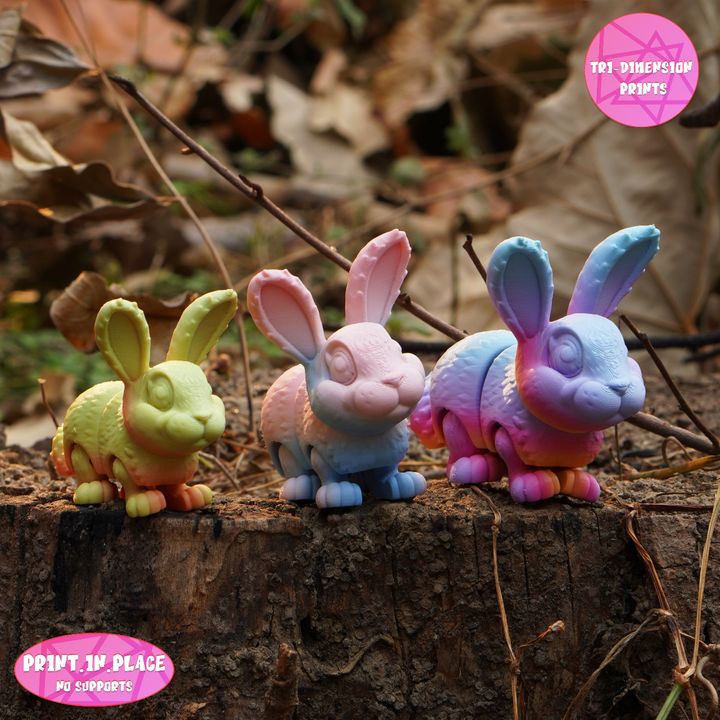 3D Printable Flexi Rabbit by TriDimensionPrints