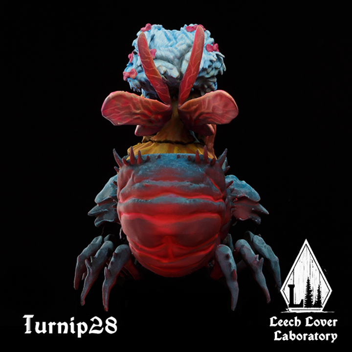 3D Printable Toff Comtesse la Draineuse for Leech Lover cult Turnip28 ...