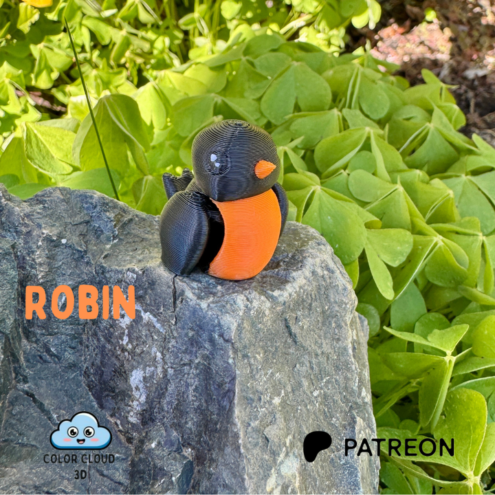3D Printable Robin Mini - Flexi by ColorCloud3D