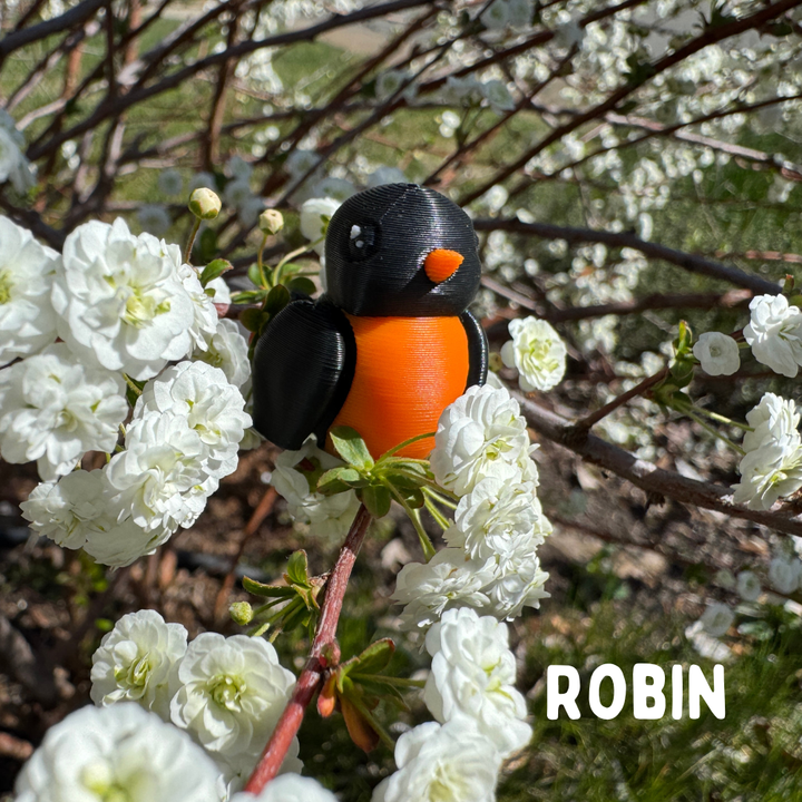 3D Printable Robin Mini - Flexi by ColorCloud3D