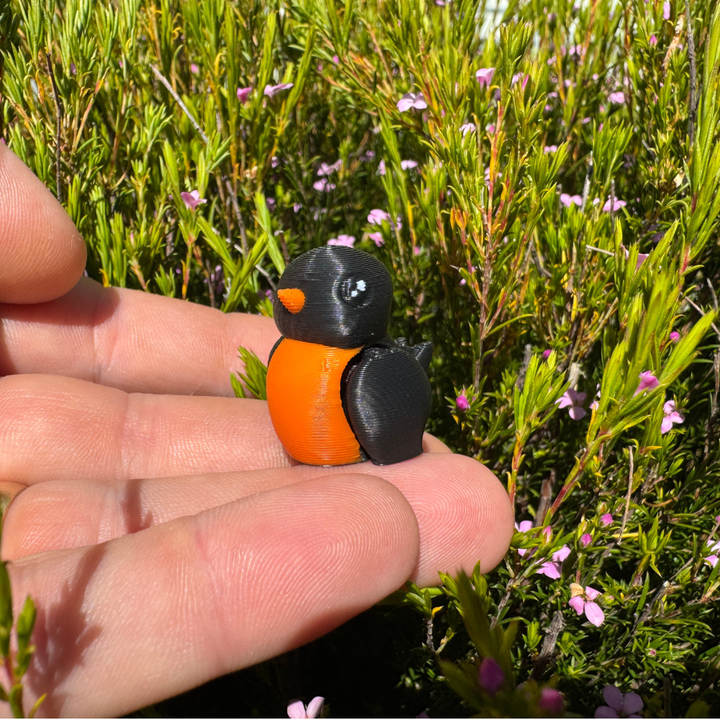 3D Printable Robin Mini - Flexi by ColorCloud3D