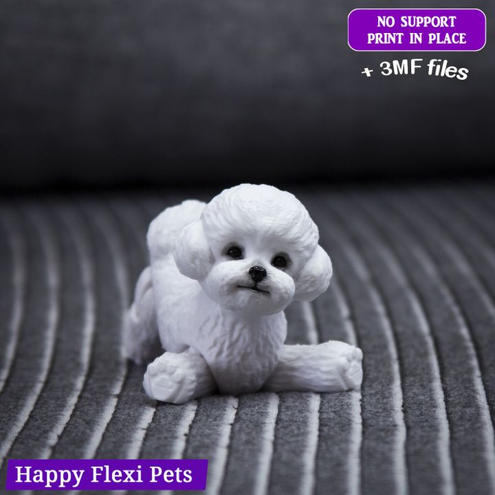 3D Printable Toy Poodle - Bichon Frise the articulated realistic dog ...