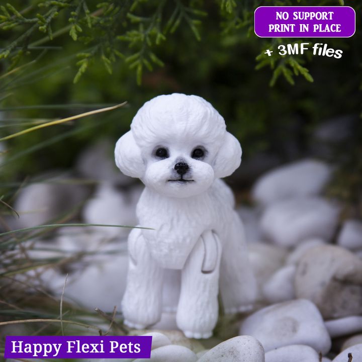 3D Printable Toy Poodle - Bichon Frise the articulated realistic dog ...