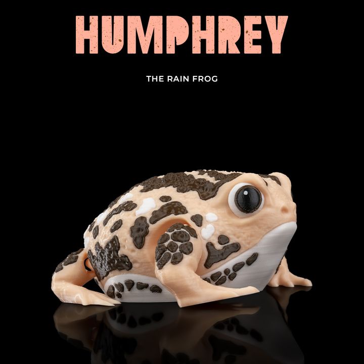 3D Printable Humphrey, the Rain Frog by Stlflix