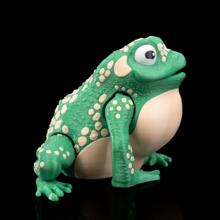 3D Printable Kate, the Cane Toad by Stlflix