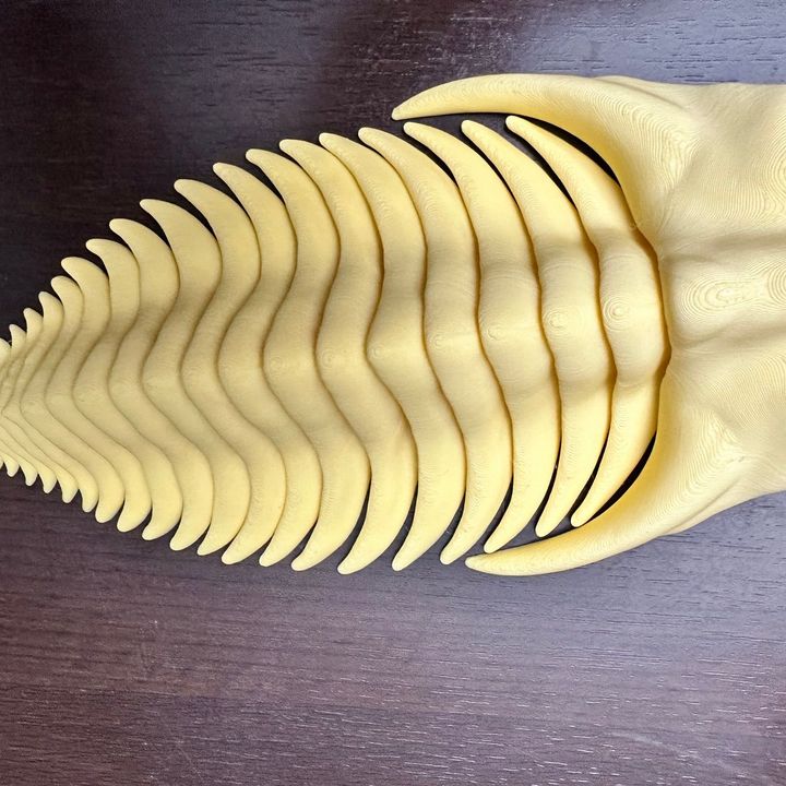 3D Printable Articulated Trilobite by MELS 3D LABS