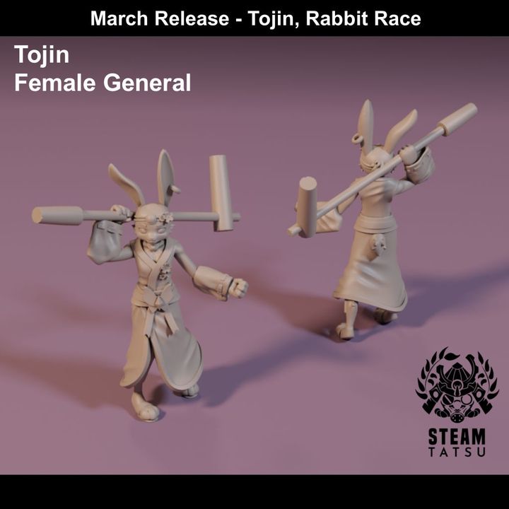3D Printable Tojin - Female General by Steam Tatsu