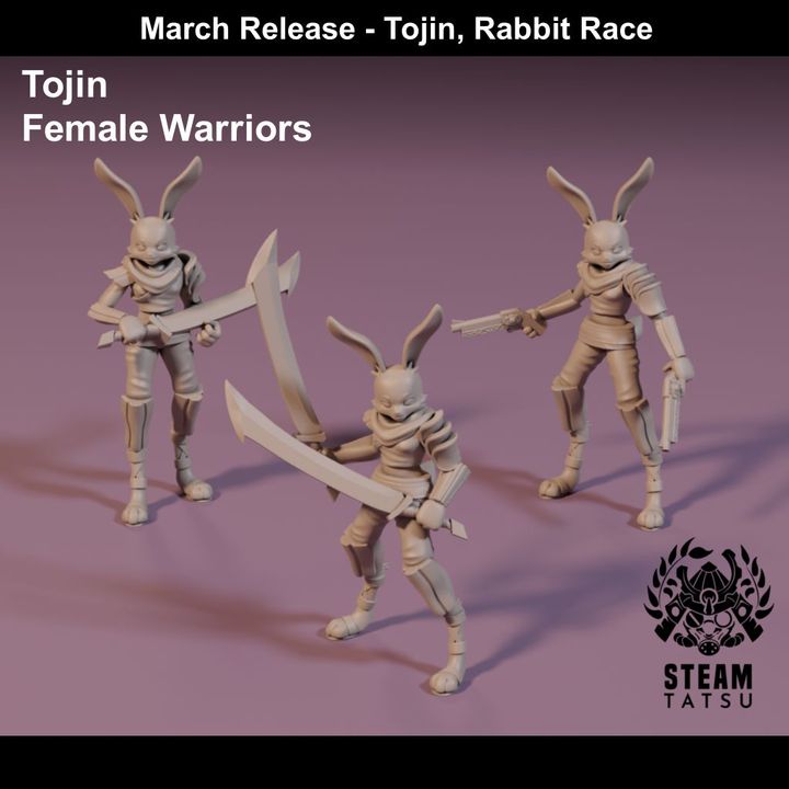 3D Printable Tojin - Female Warriors by Steam Tatsu