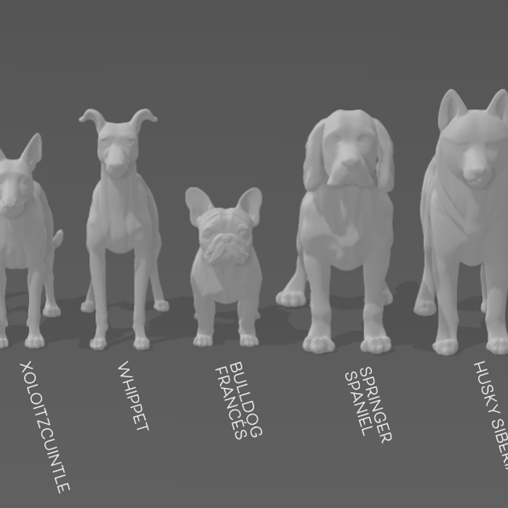 3D Printable Miniatures - Dogs Complete Collection by ocram3000