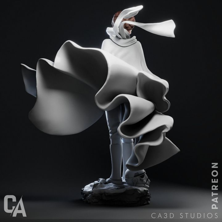 3D Printable The Rebel Princess Strength Courage and Destiny 3D Print ...