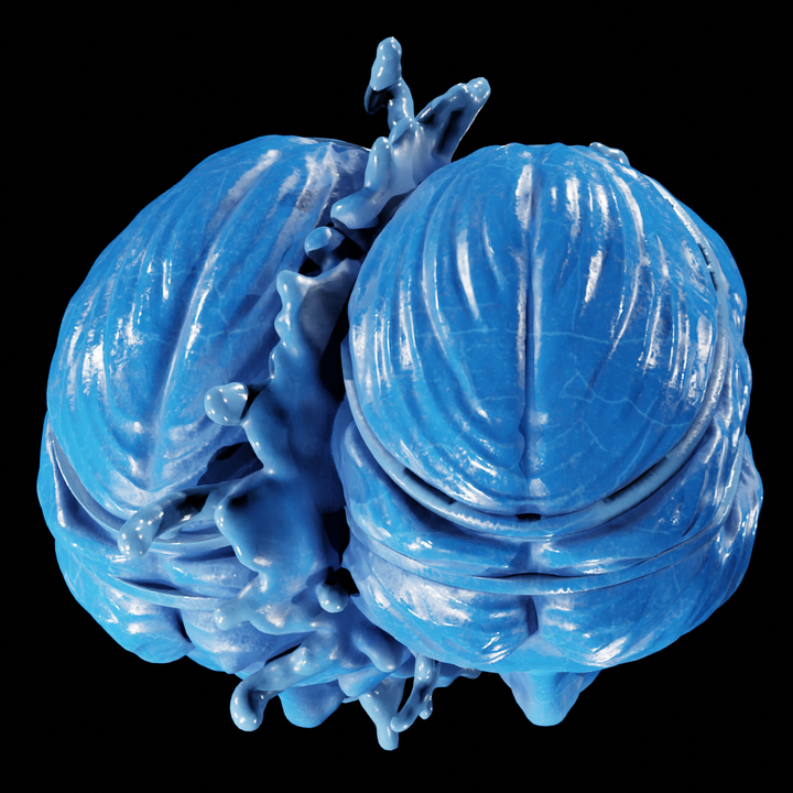 3D Printable PATH OF EXILE - AUGMENTATION ORB - POE by Abyss Art Studio