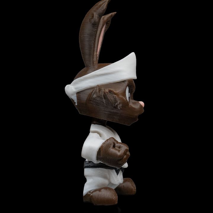 3D Printable Bun Sensei by Stlflix