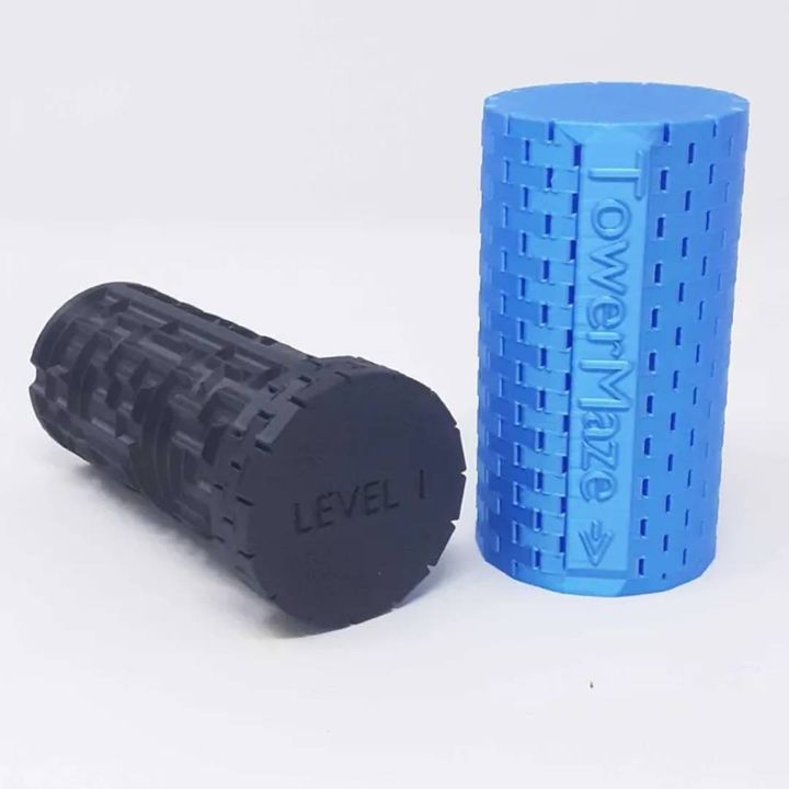 3D Printable TowerMaze Level 1 by Mazetropolis