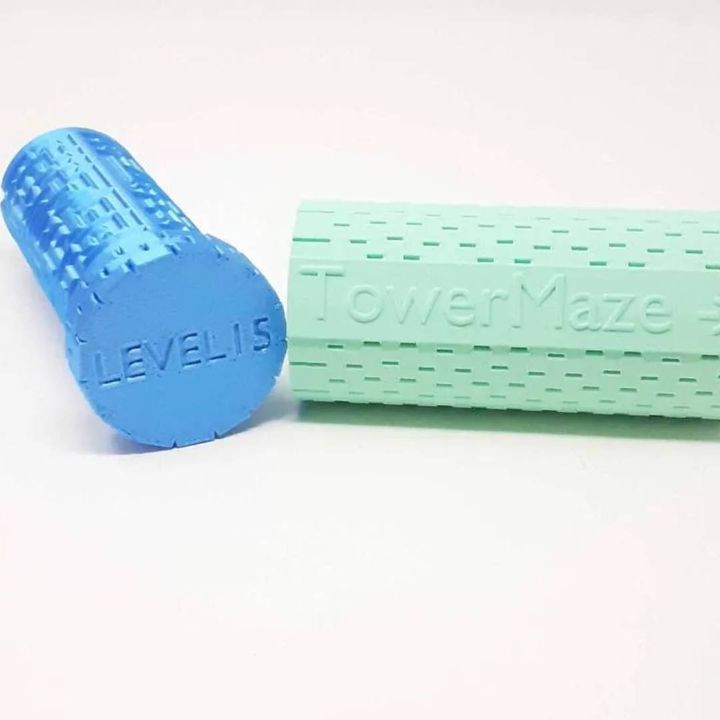 3D Printable TowerMaze Level 15 by Mazetropolis