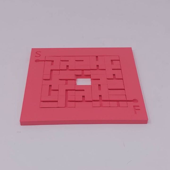 3D Printable Slider Maze Level 8 by Mazetropolis