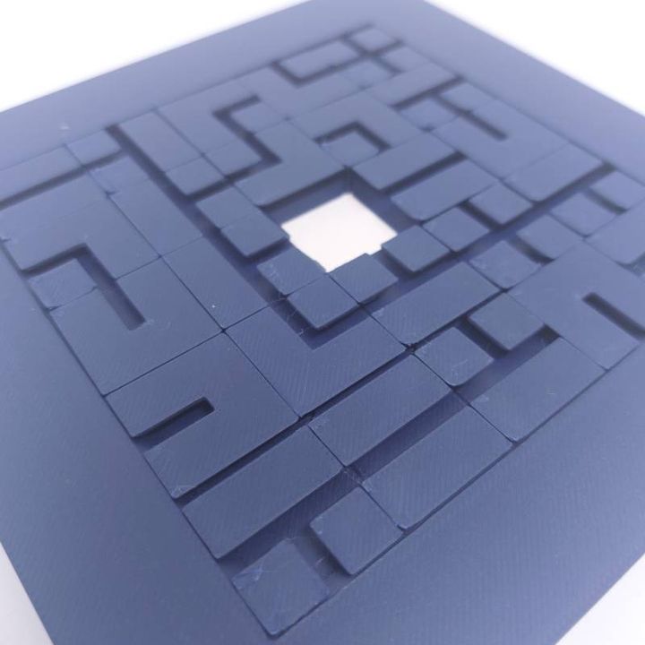 3D Printable Slider Maze Level 9 by Mazetropolis