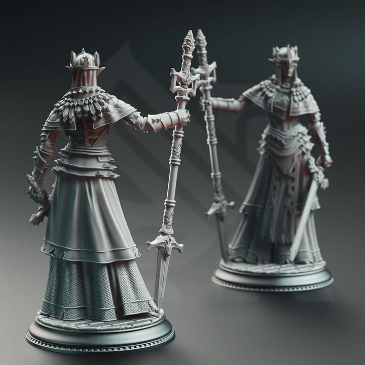3D Printable Half-Elf War Maiden Cleric - Evana the Proselytizer by DM ...