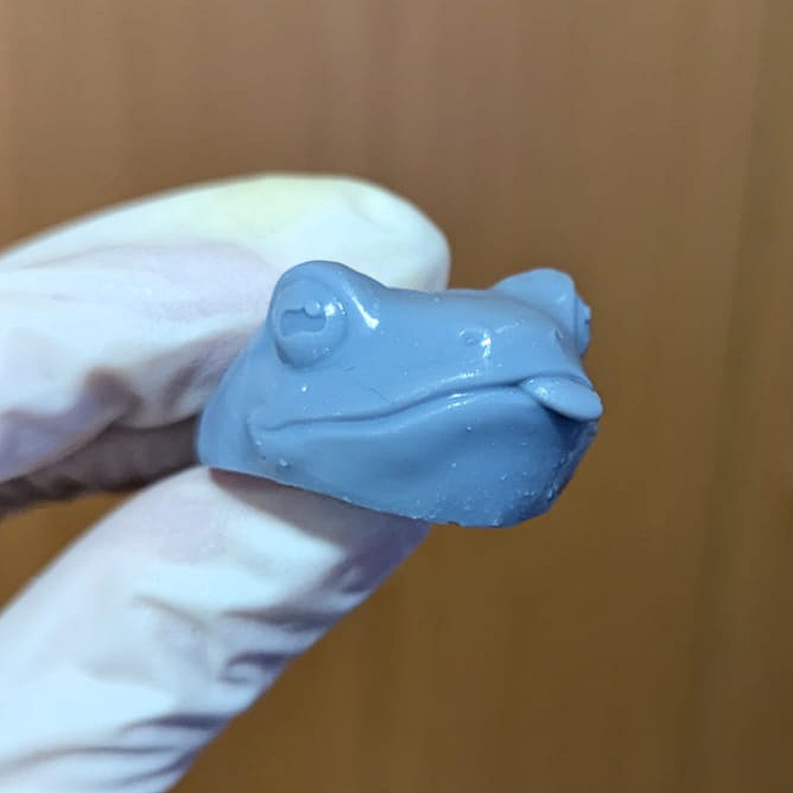 3D Printable Frog Head by Chimera cat works