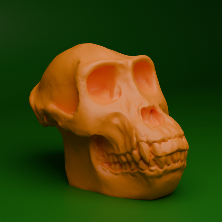 3D Printable Gorilla Skull by MysticMesh3D